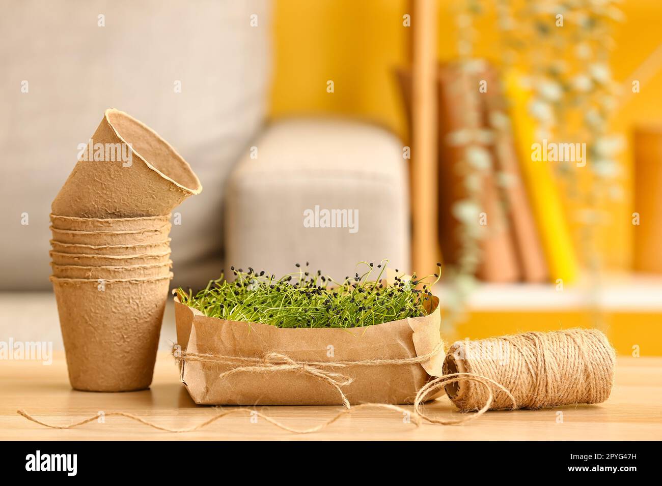 Microgreens growing in pots hi-res stock photography and images - Alamy