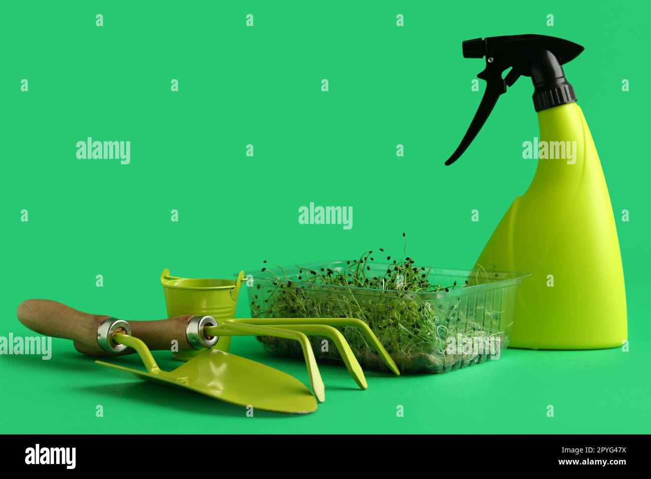 Plastic container with fresh micro green, water spray, rake, bucket and ...