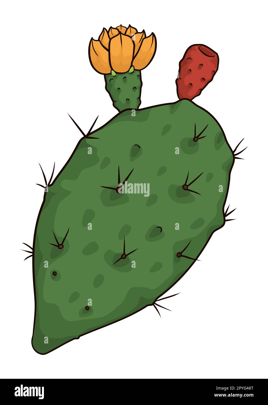Green nopal pad with fruit and flower in cartoon style on white ...