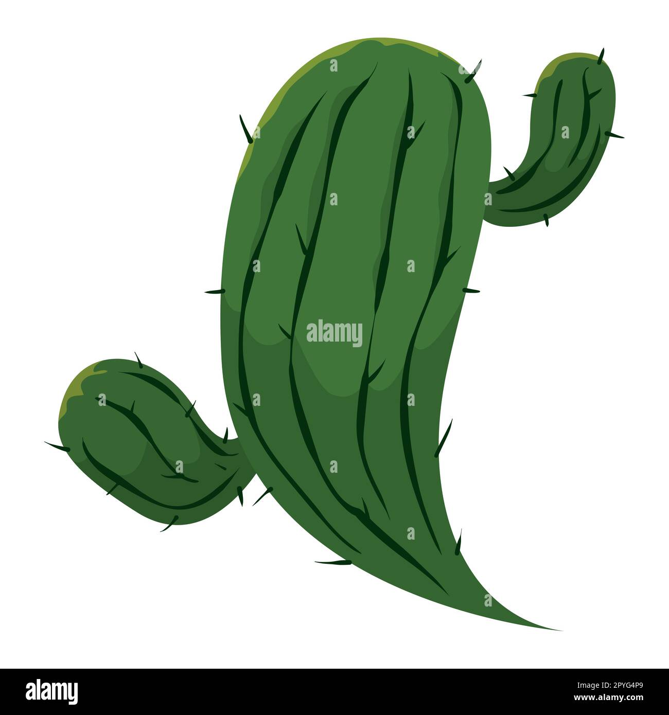 Green cactus with thorns in cartoon style, isolated on white background ...
