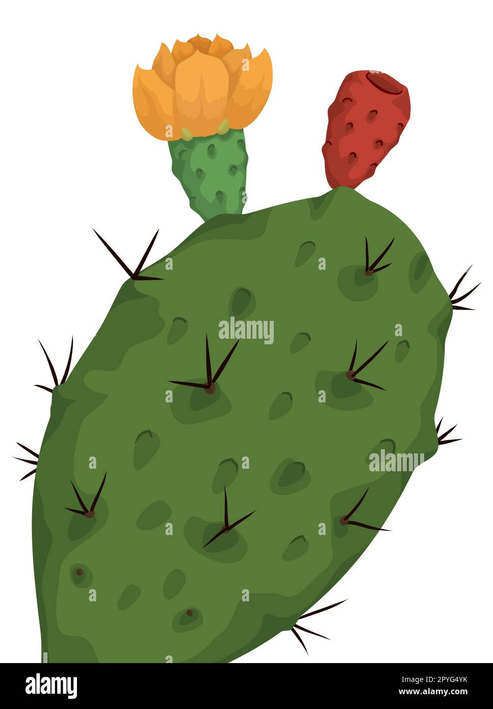 Prickly Pear Cactus Clip Art