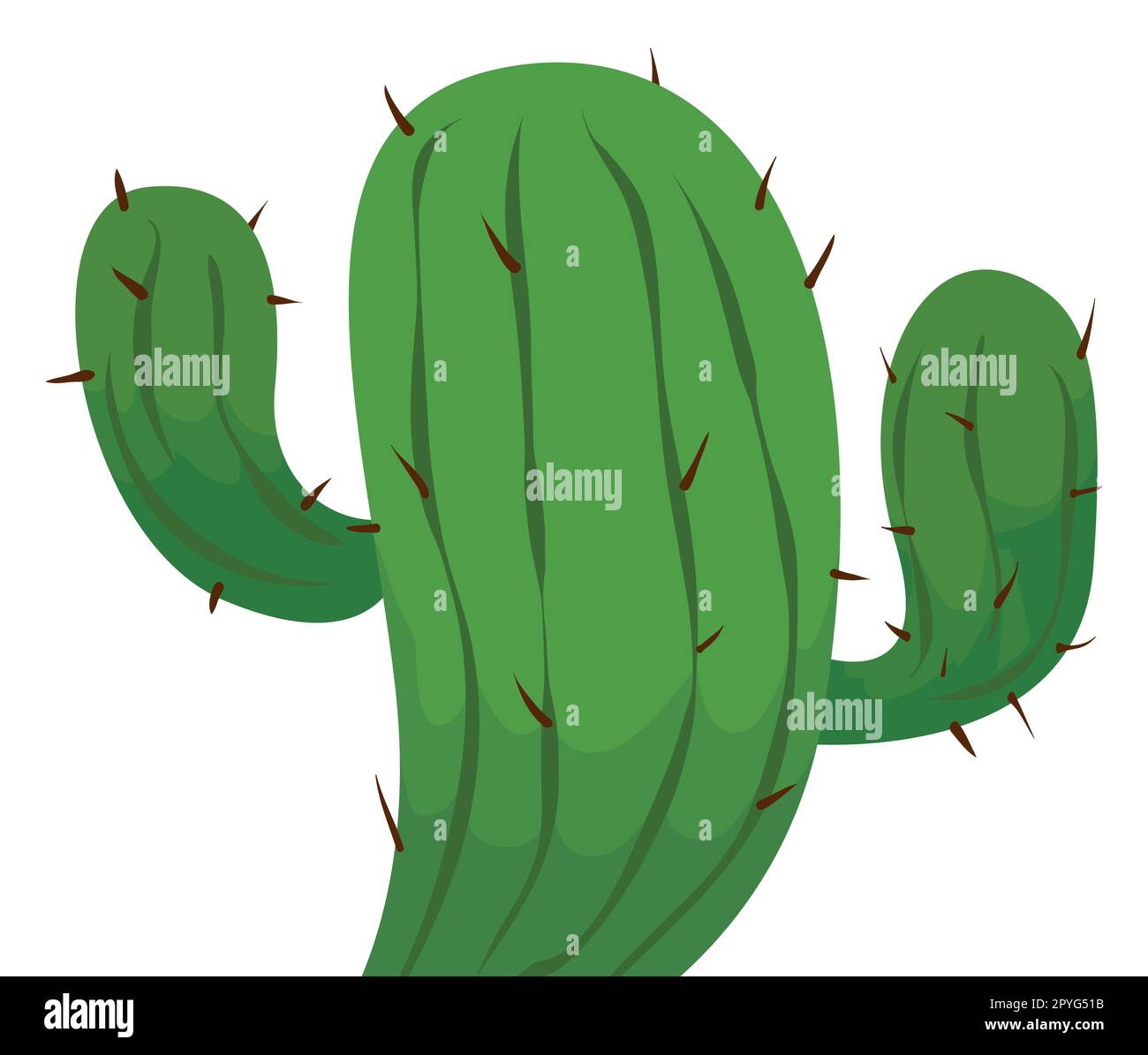 Close-up of a green cactus trunk with two arms and spines in cartoon ...