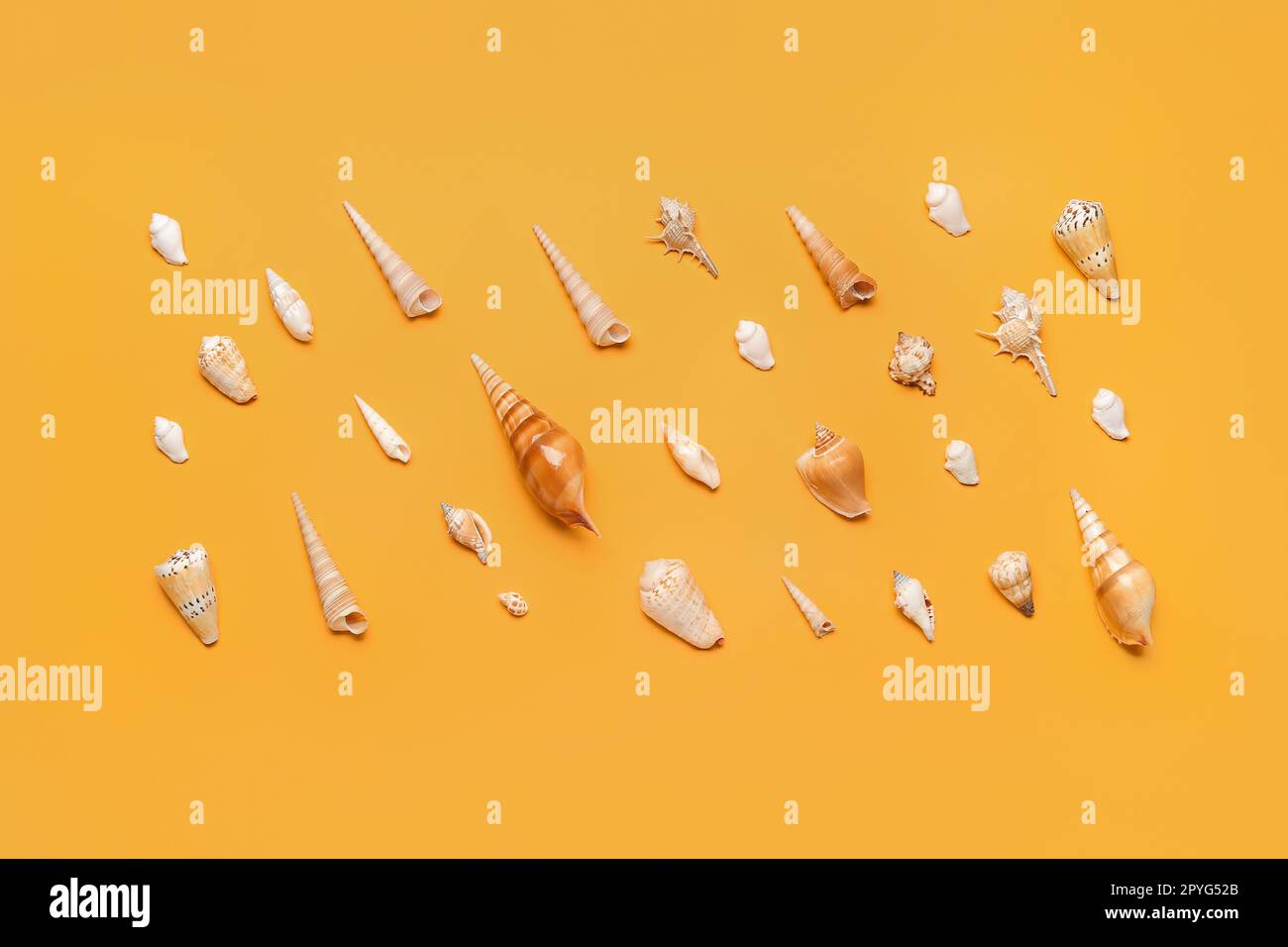 Different sea shells on yellow background Stock Photo - Alamy