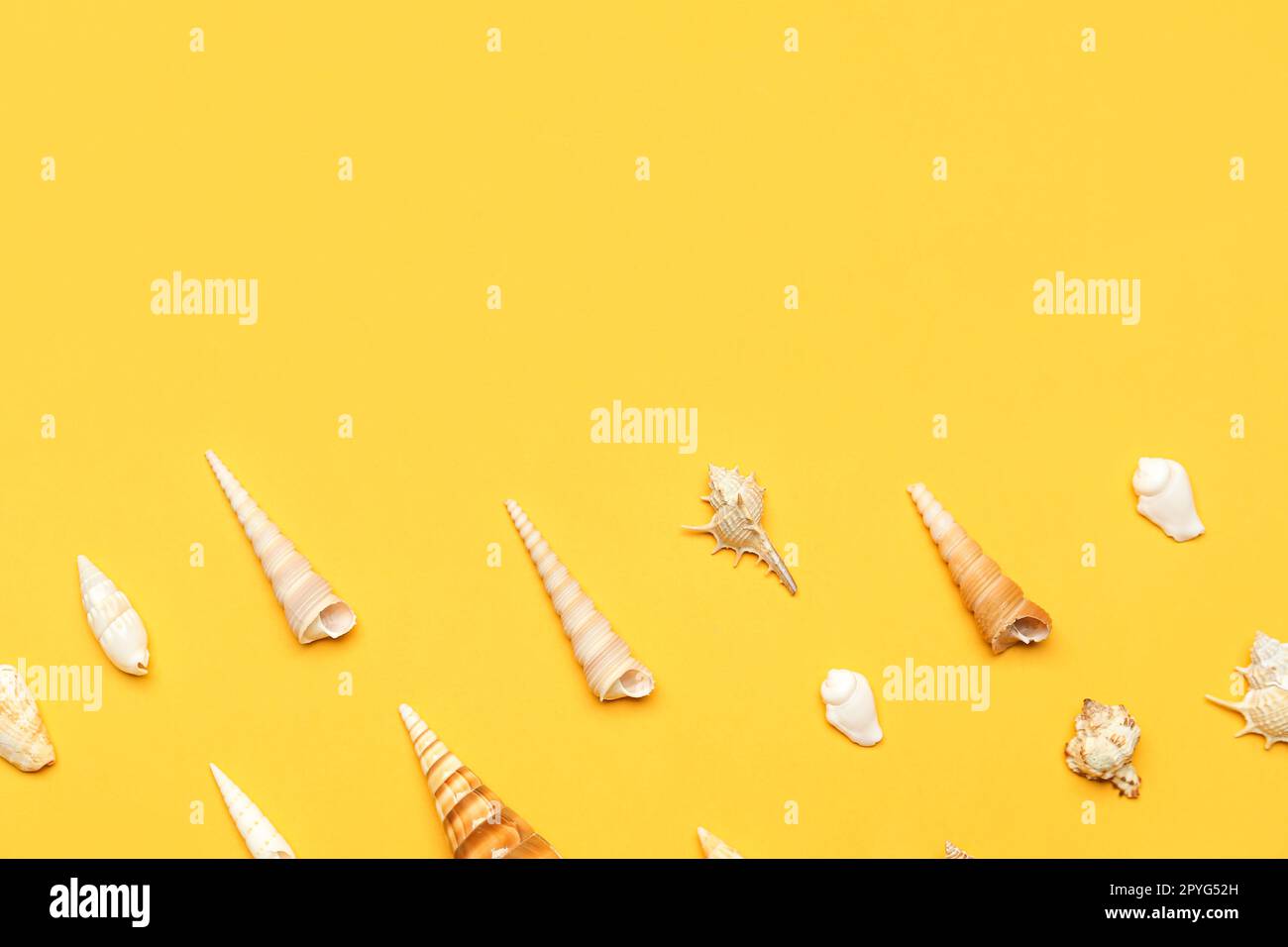 Different sea shells on yellow background Stock Photo - Alamy