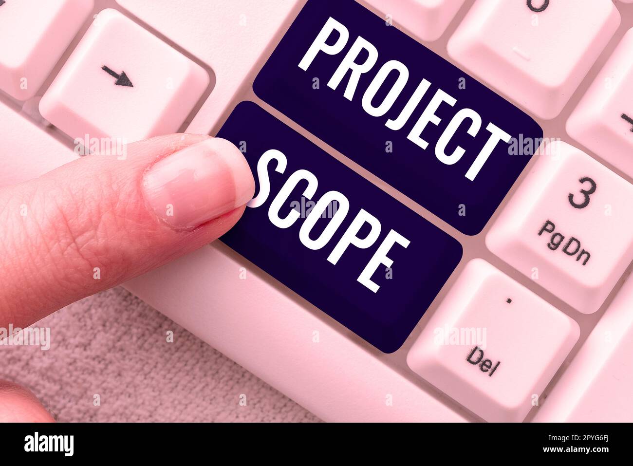 Text caption presenting Project Scope. Business approach evaluation of ...