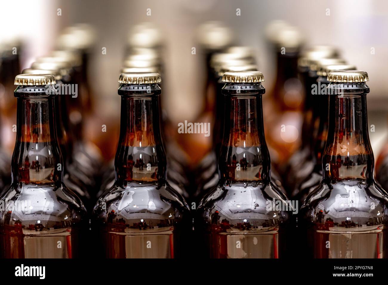dewy bottles of beer in a row in a warehouse ready for export Stock ...