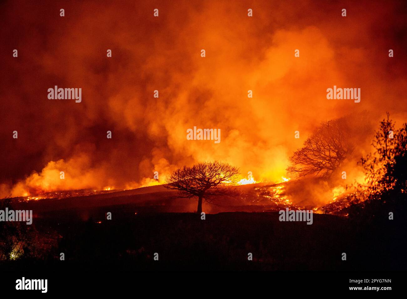 Rhondda Valley, Wales, UK. 03rd May, 2023. Ton Pentre, Rhondda Valley ...