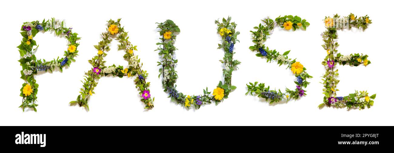 Colorful Blooming Flower Letters Building Word Pause Means Break Stock ...