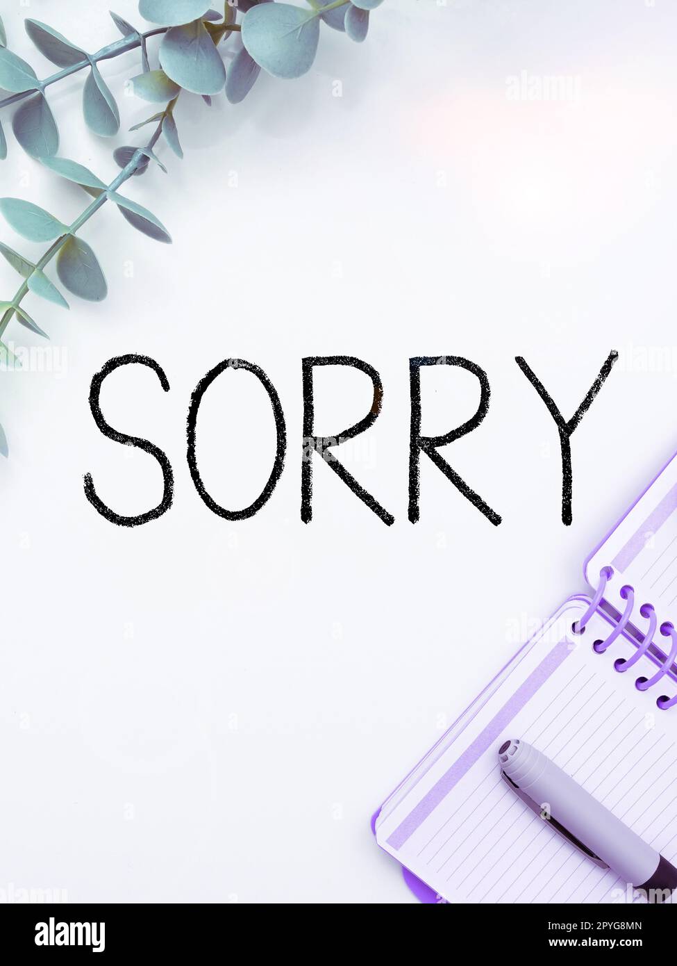 Sign displaying Sorry. Business idea telling someone that you are ...