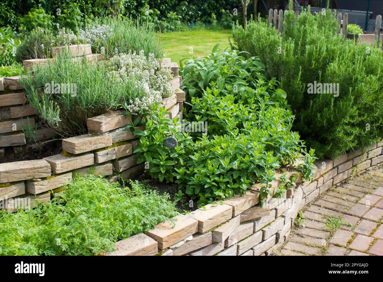 herb spiral in the garden with fresh herbs Stock Photo - Alamy