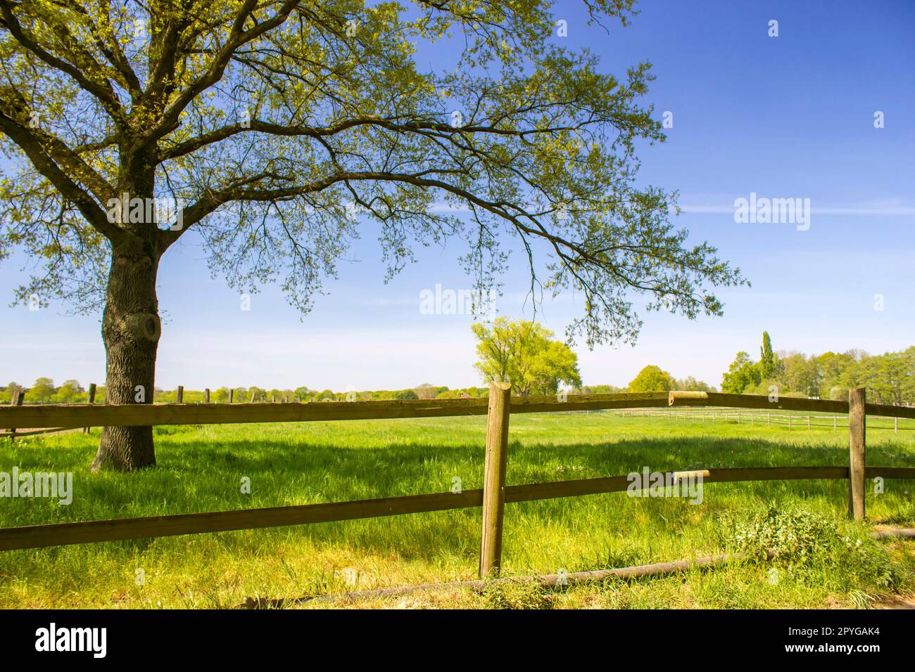 German countryside beauty hi-res stock photography and images - Alamy