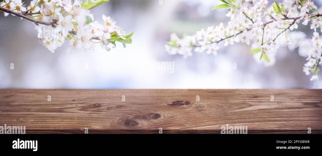 Counter for presentations with cherry blossom Stock Photo - Alamy