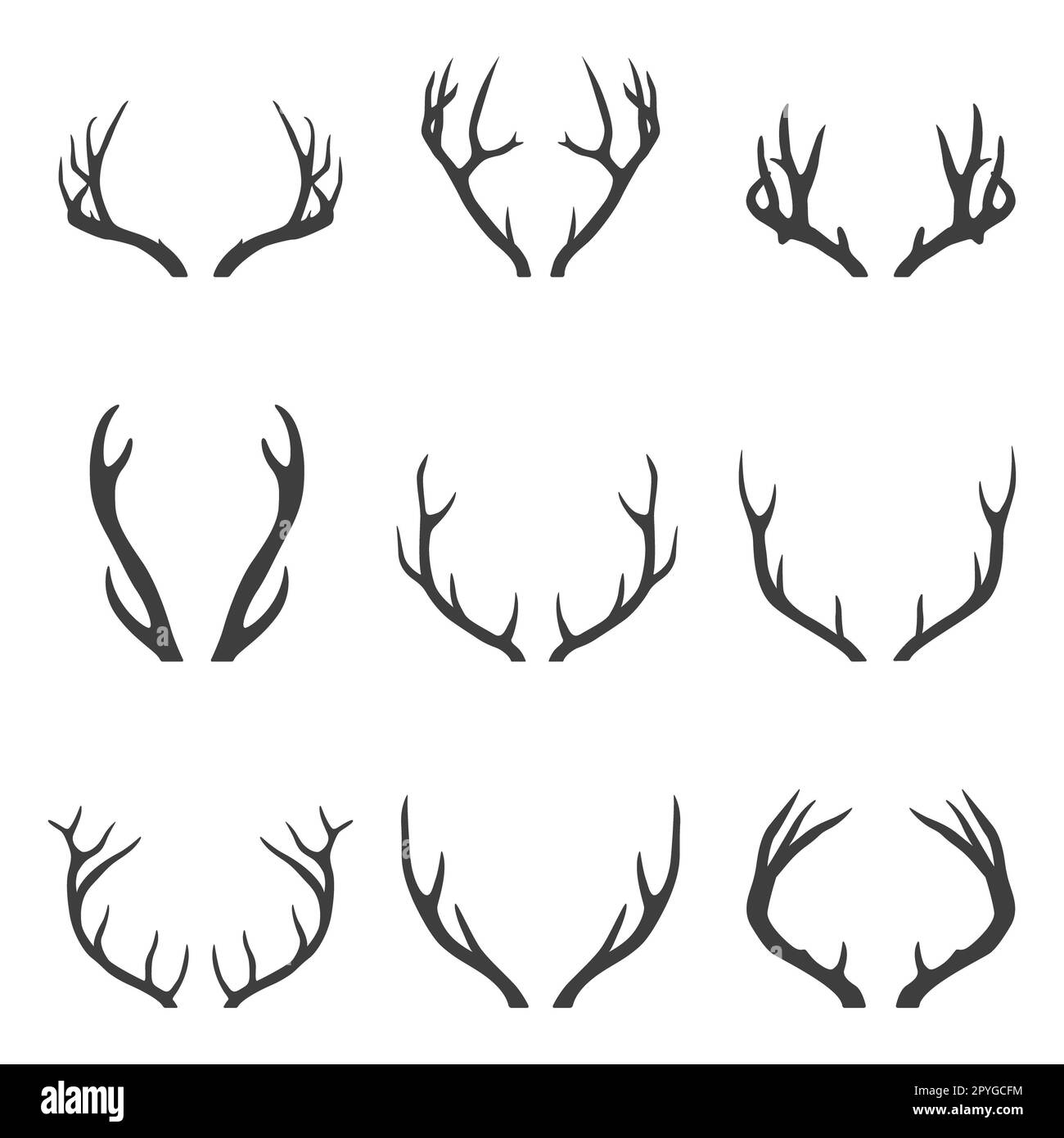 Set of deer horns. Vector EPS8 illustration Stock Photo - Alamy