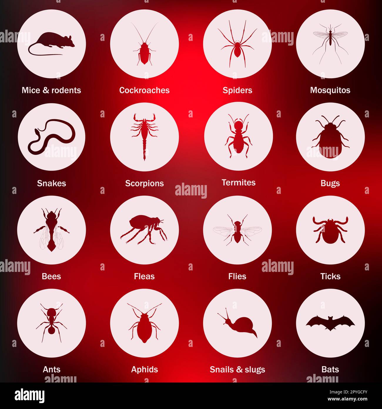 Pest and insect control icons set. Vector EPS8 illustration Stock Photo ...
