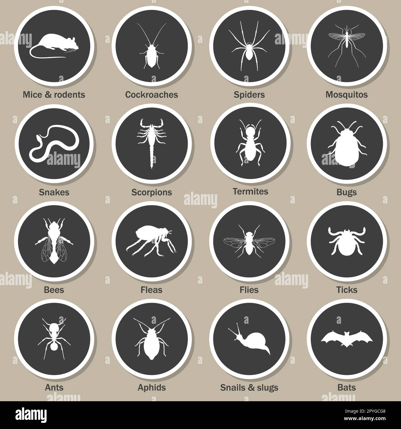 Pest and insect control icons set. Vector EPS10 illustration Stock ...