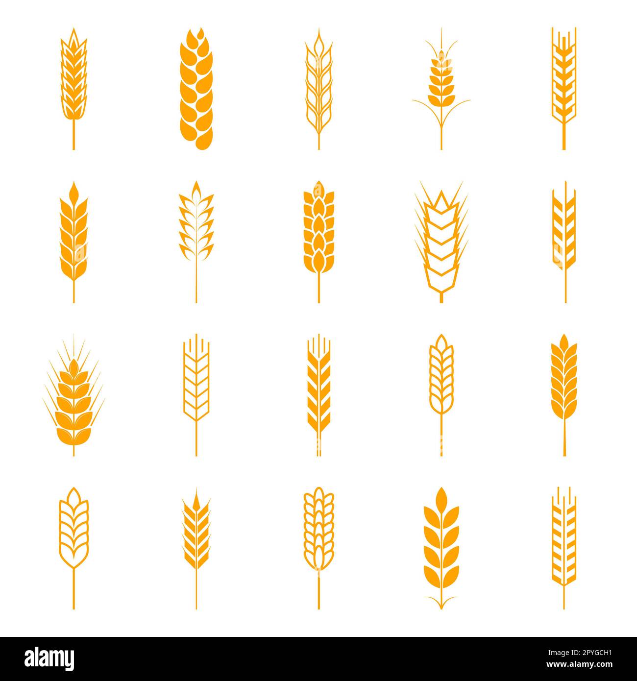 Set of simple wheat ears icons and design elements. Vector EPS8 ...
