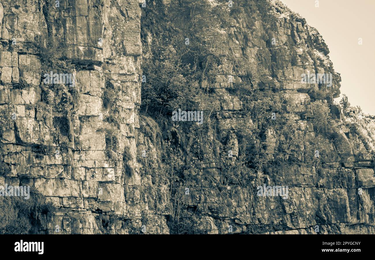 Cliffs and rocks Table Mountain National Park Cape Town, Africa Stock ...
