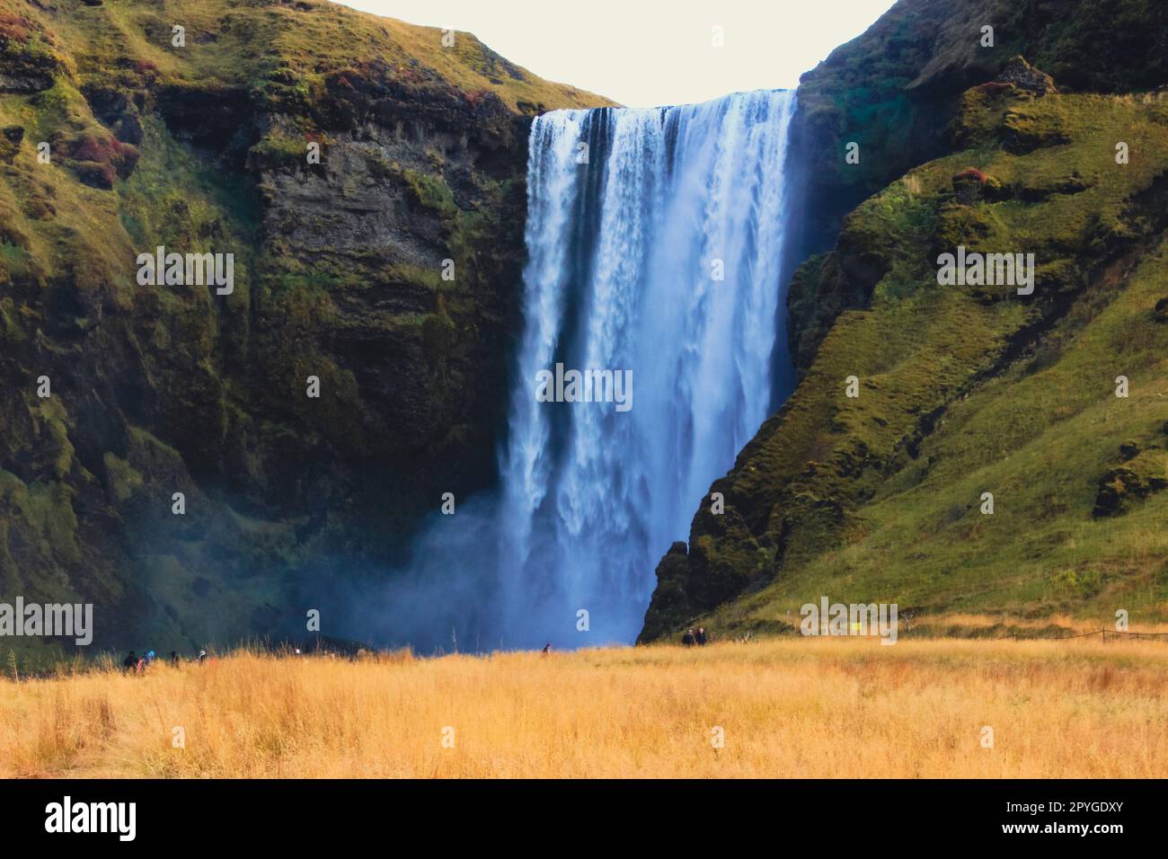 View of famous Skogafoss waterfall in twilight, Iceland Stock Photo - Alamy