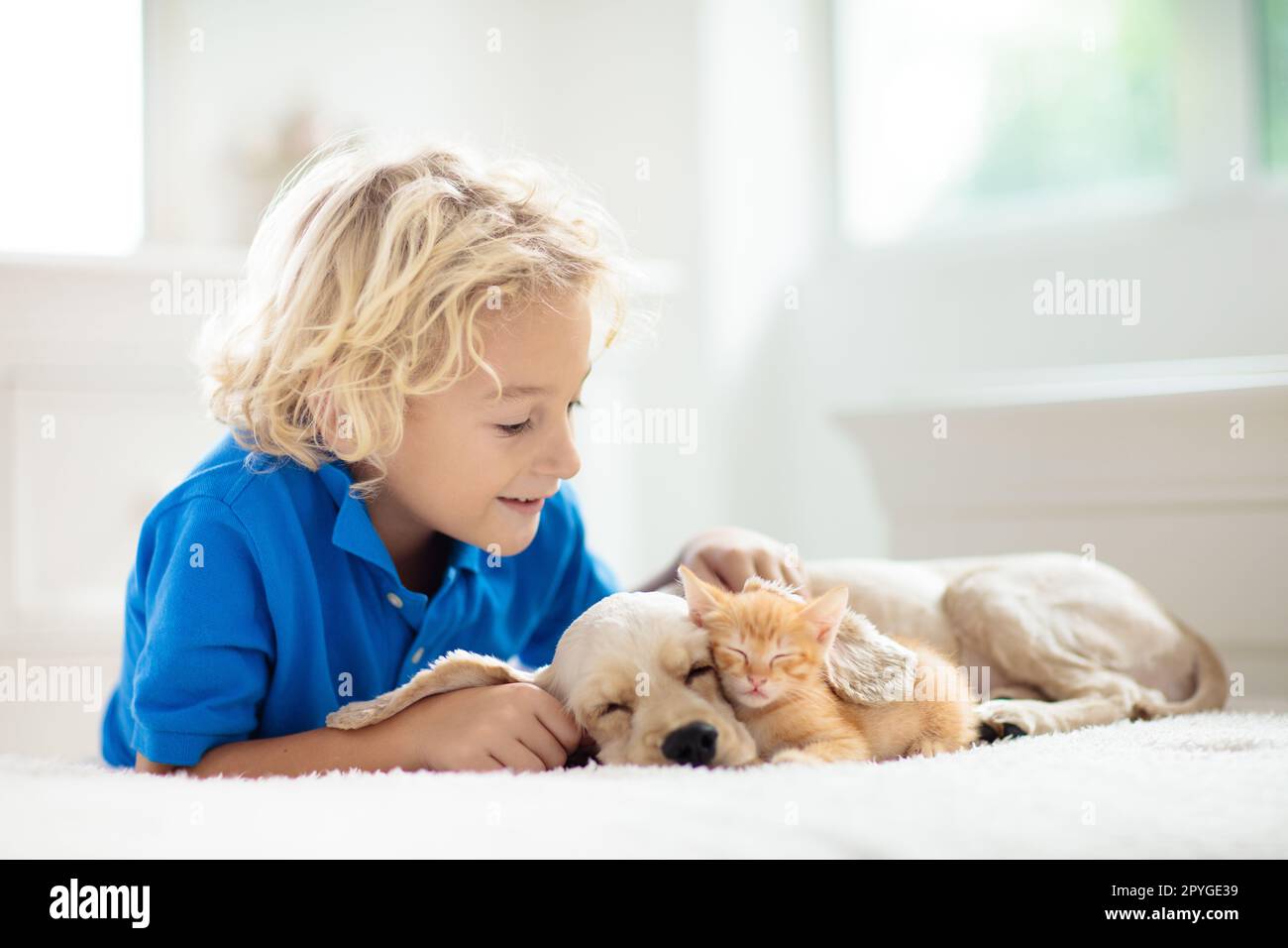 Child playing with baby dog and cat. Kids play with puppy and kitten ...