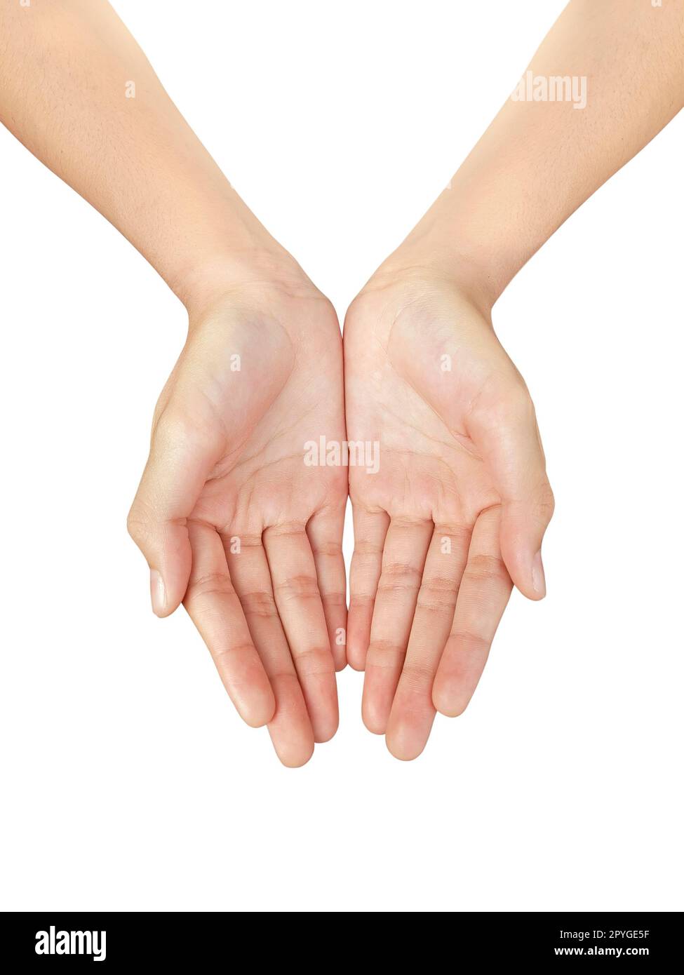 woman hands isolated on white background Stock Photo - Alamy