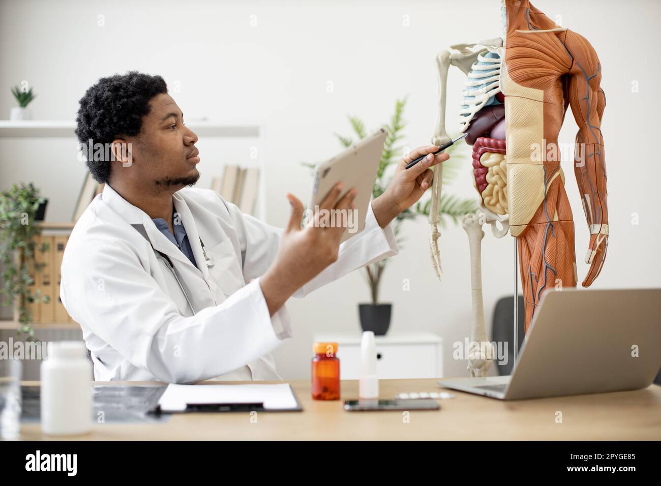 Bearded african american male in lab coat marking liver on human ...