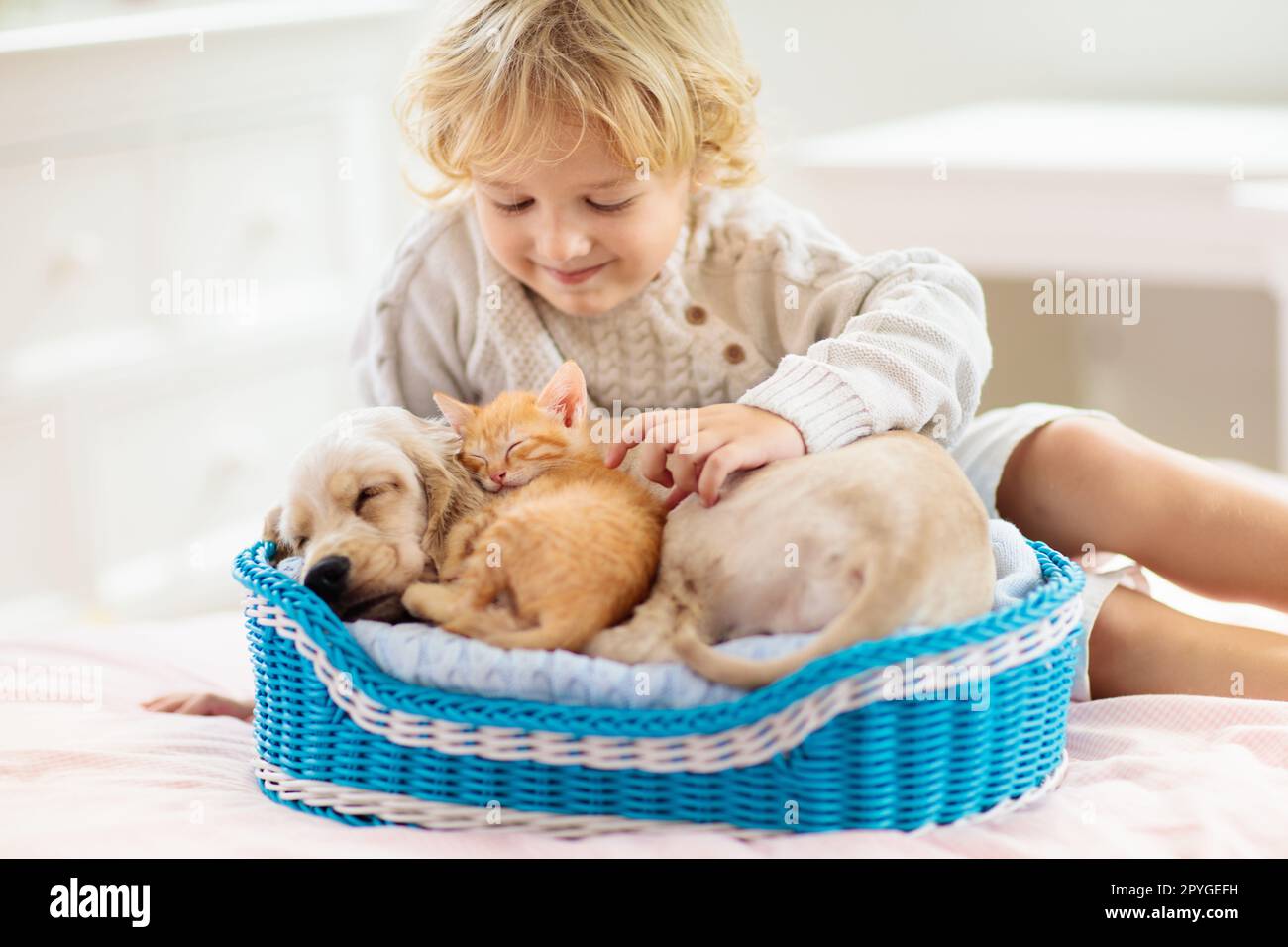 Child playing with baby dog and cat. Kids play with puppy and kitten ...