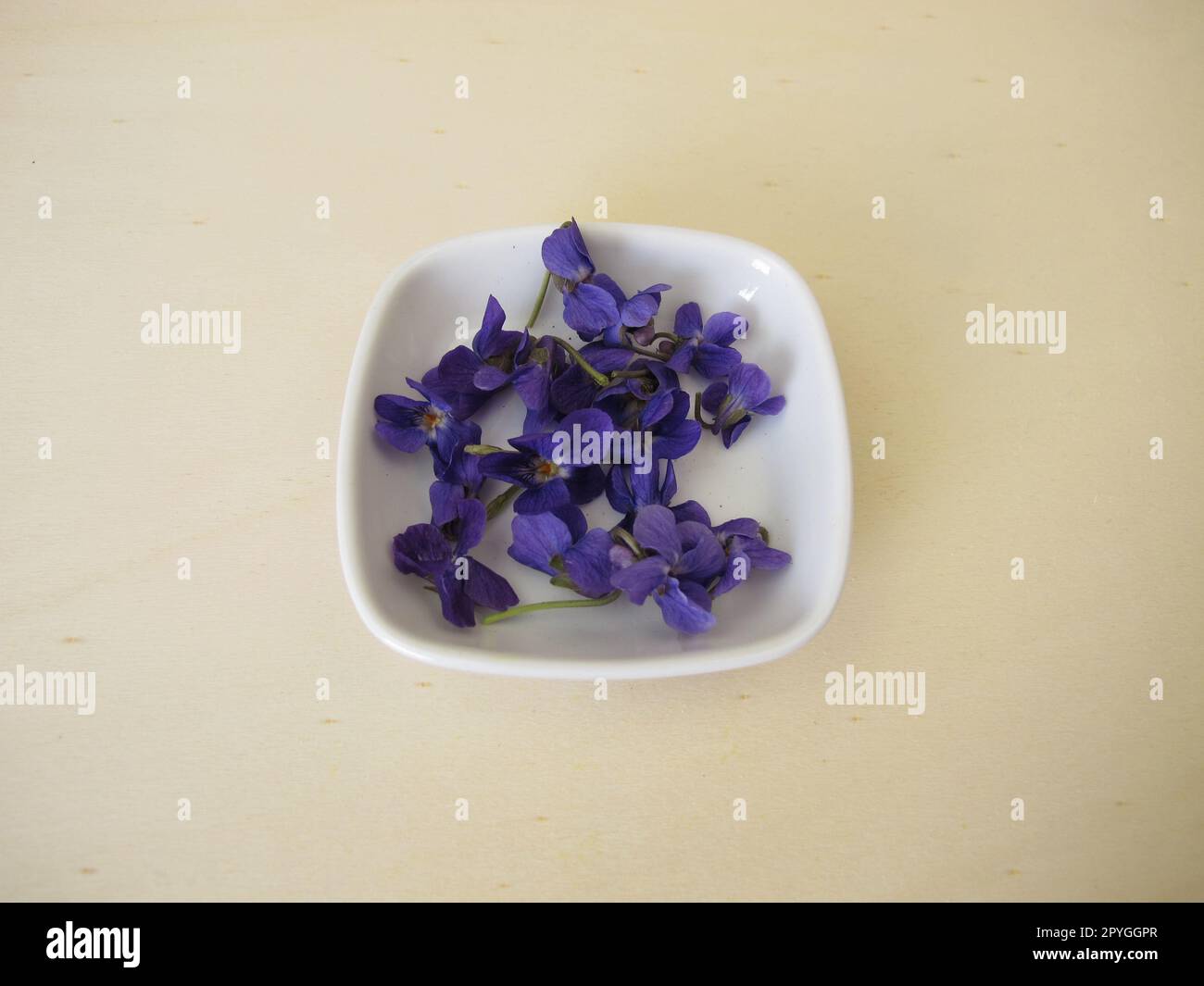 Violets flower medicinal hi-res stock photography and images - Alamy