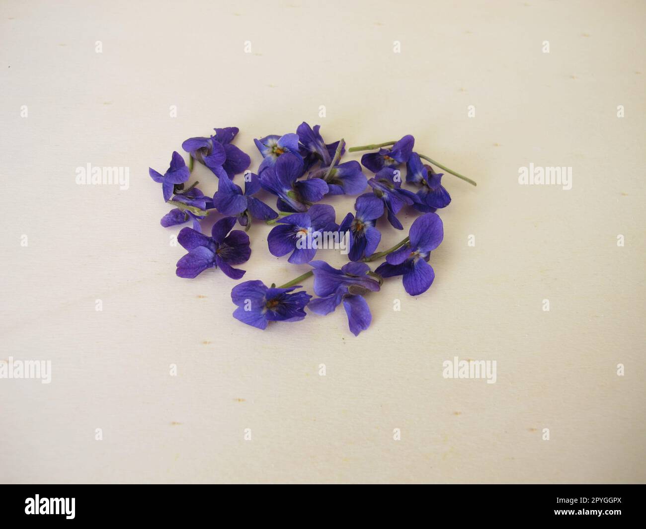 Violets flower medicinal hi-res stock photography and images - Alamy