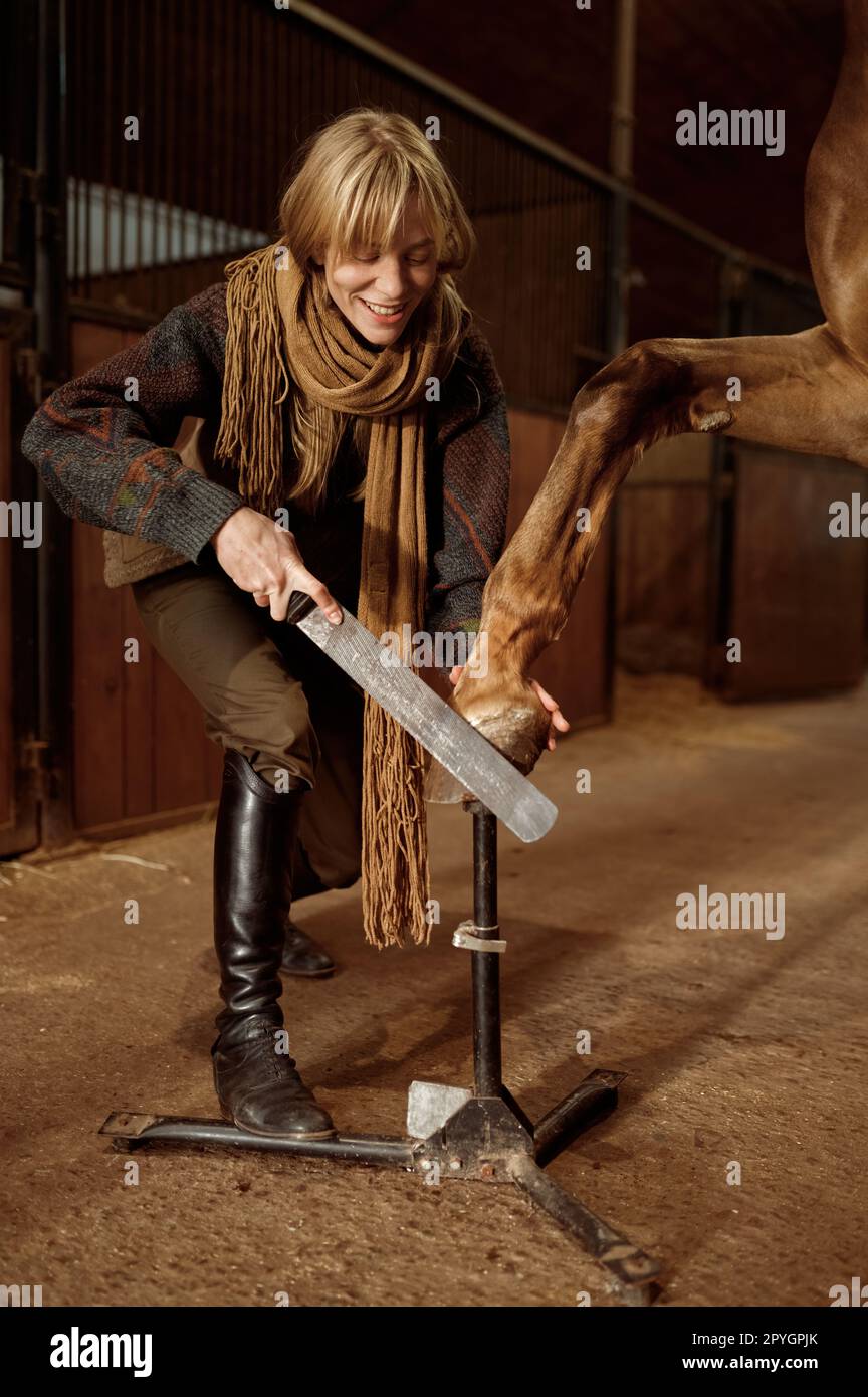 Female horse owner trimming and shaping young stallion hoof Stock Photo ...