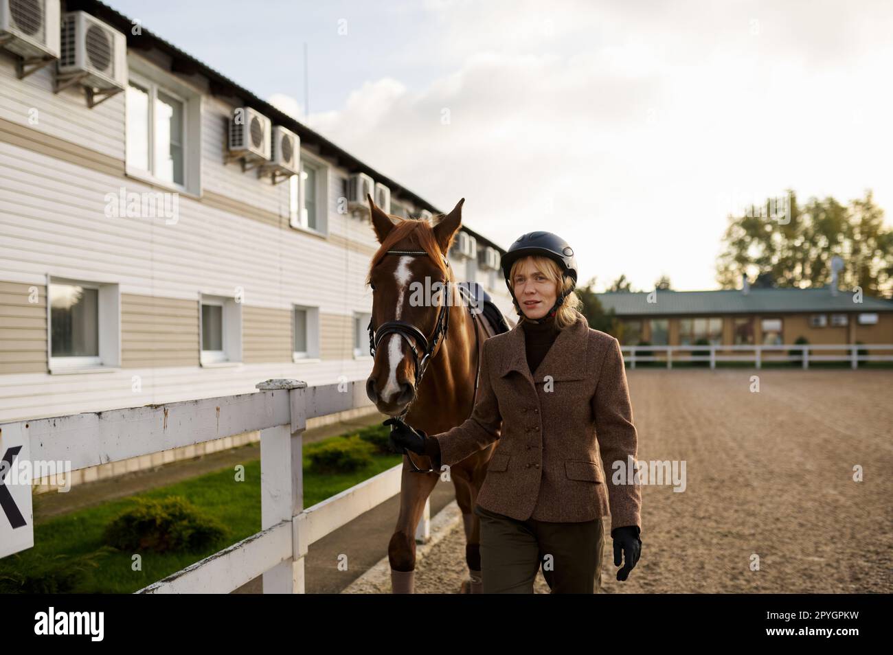 Attractive smiling woman equestrian walking horse in outdoor paddock ...