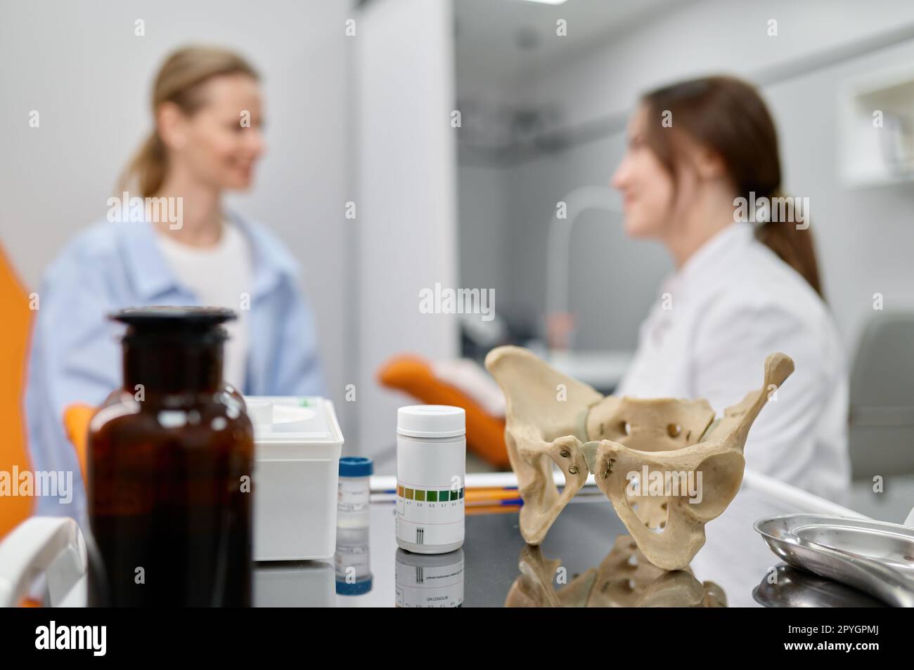 Bone structure of the pelvis hi-res stock photography and images - Alamy