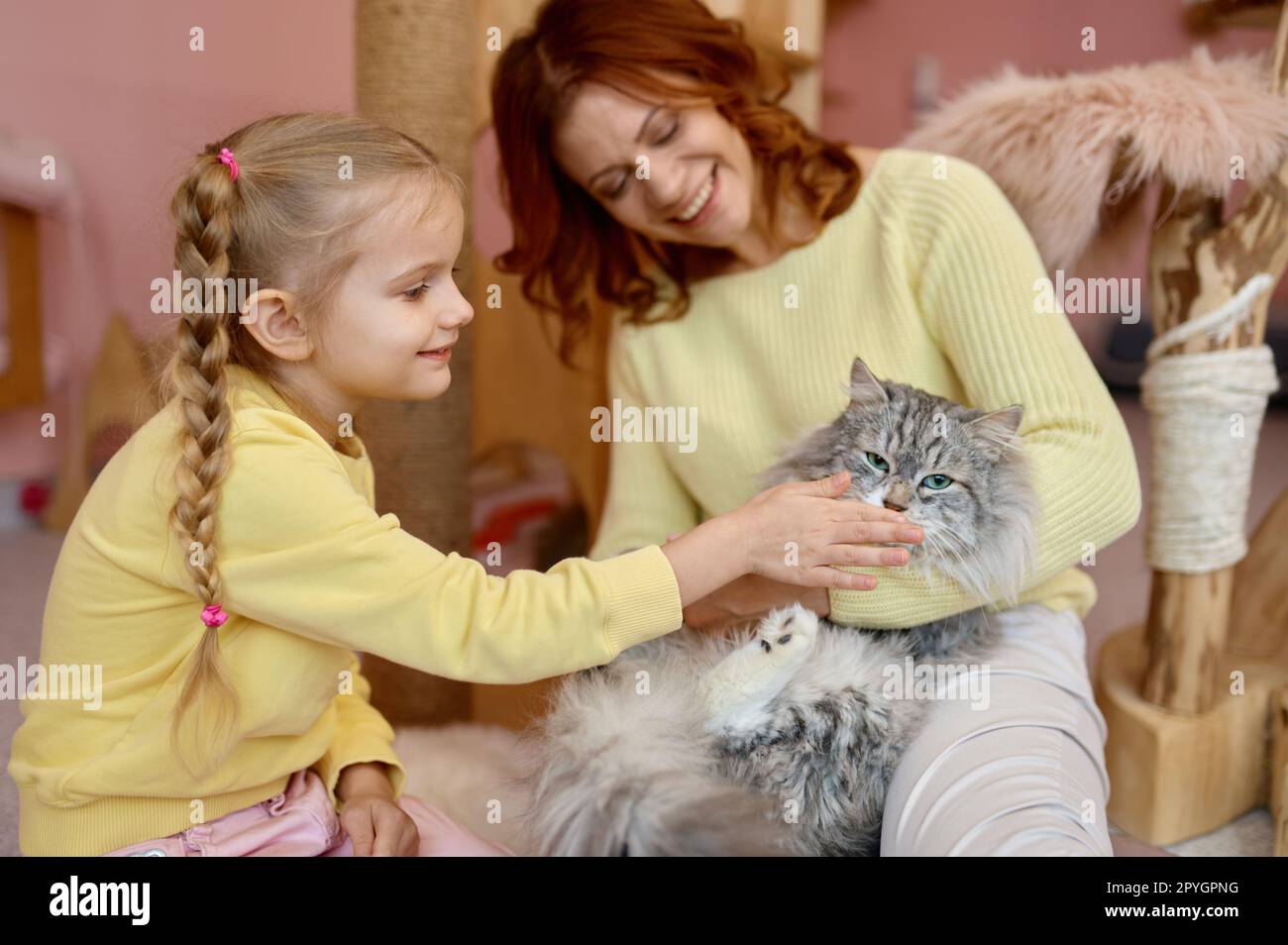 Happy mother and daughter playing with cat in animal shelter Stock ...