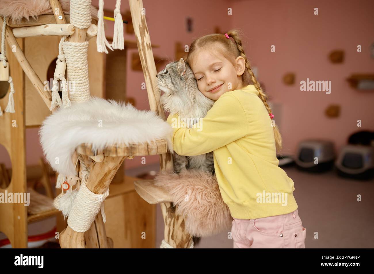 Happy smiling girl petting fluffy cat having fun time in animal shelter ...