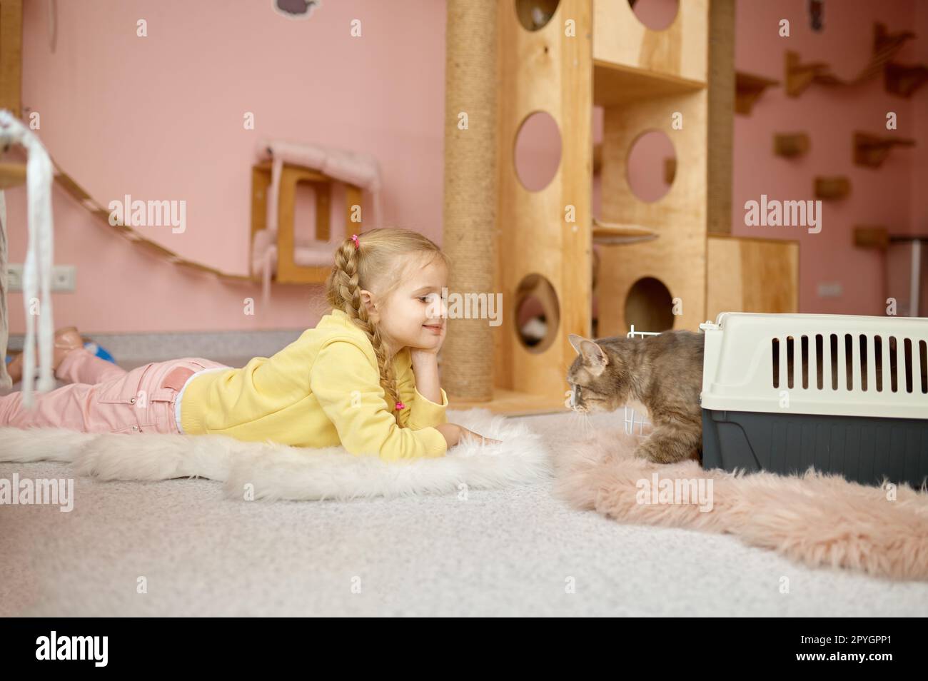 Little girl child looking how cat crawl out of cage spending time at ...