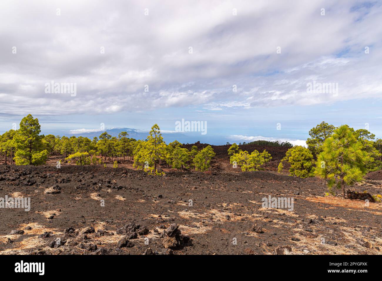 Lava face hi-res stock photography and images - Alamy