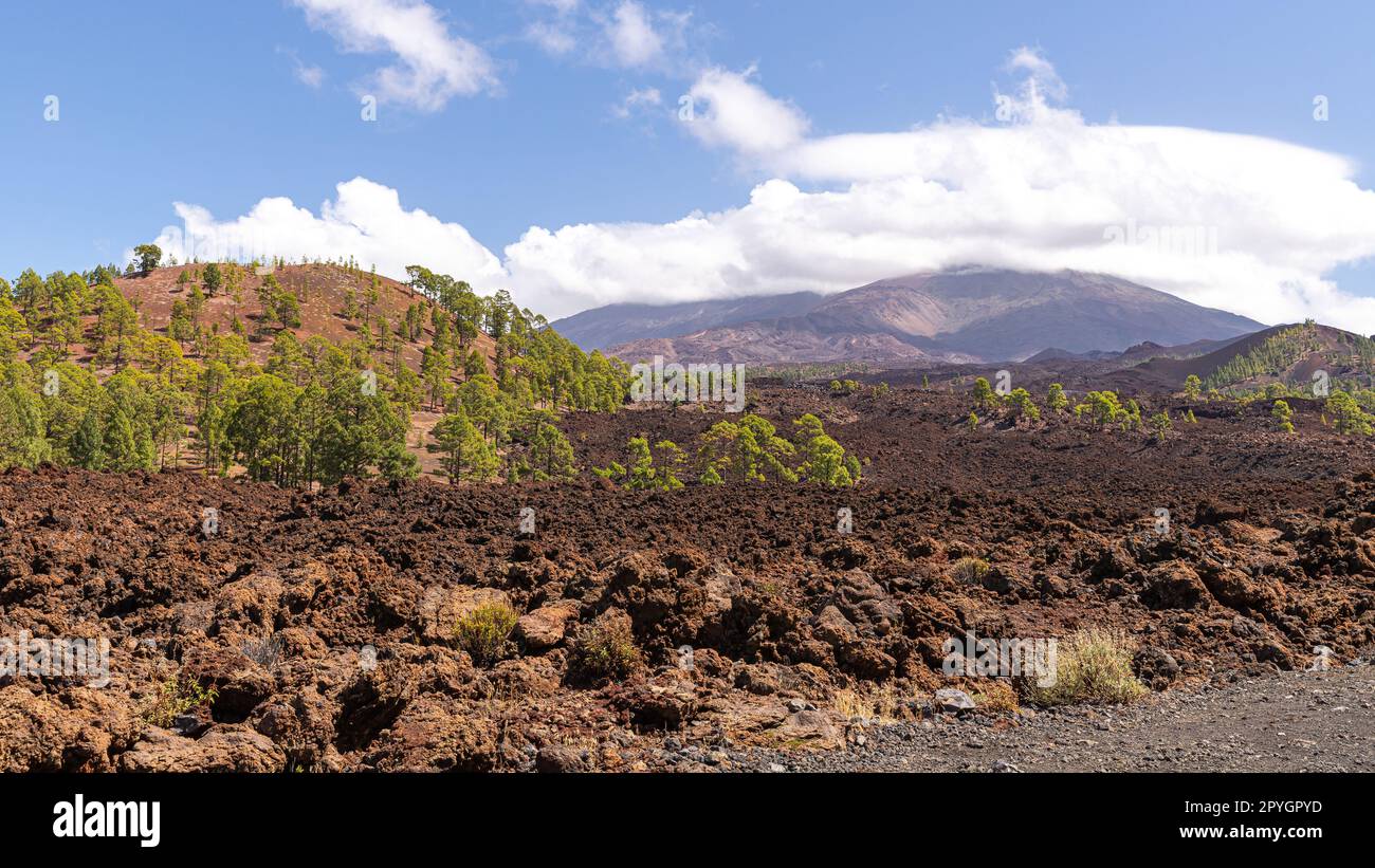 Lava field with view to Mount Teide in clouds Stock Photo - Alamy