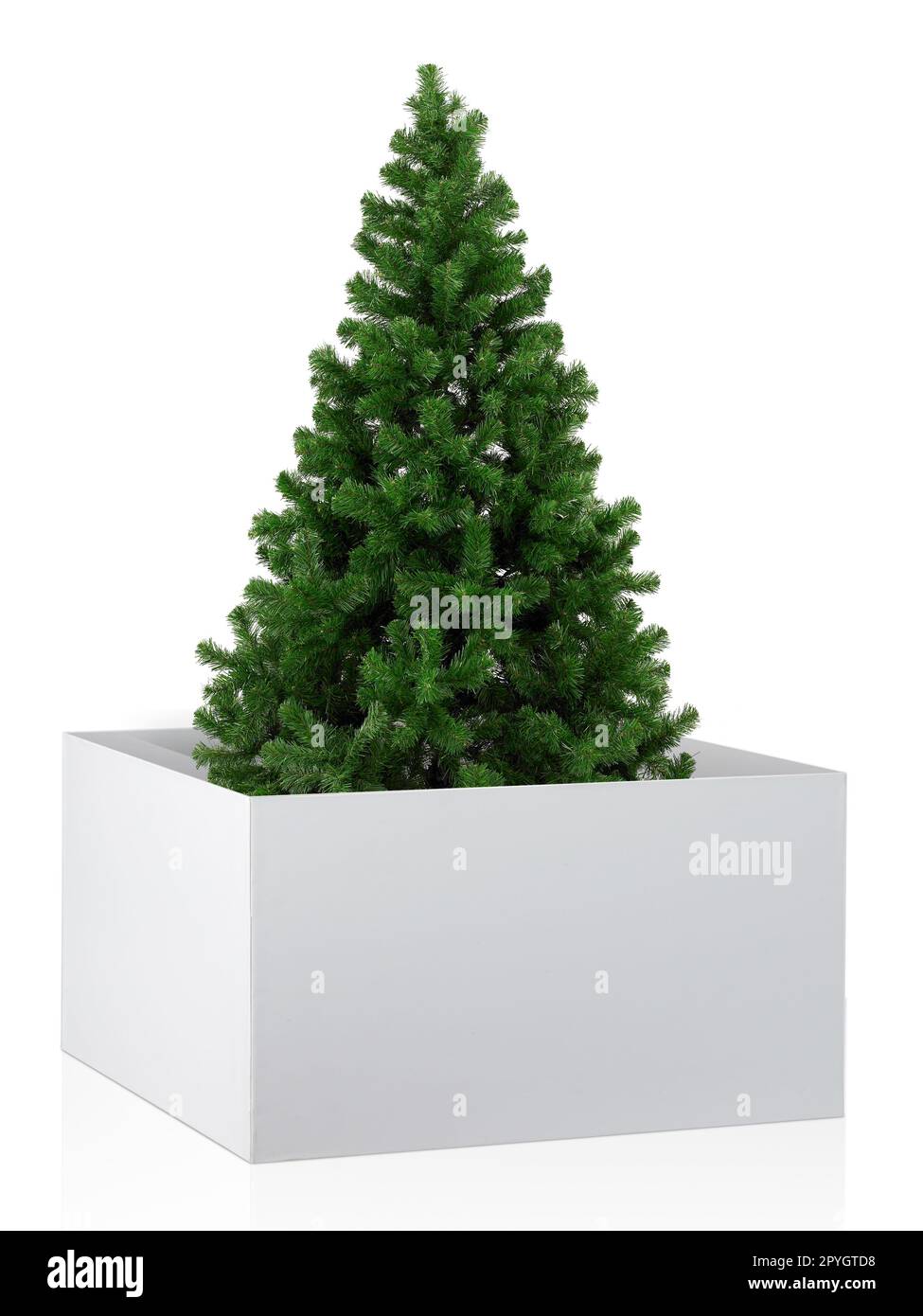 Christmas tree background in holiday Cut Out Stock Images & Pictures ...