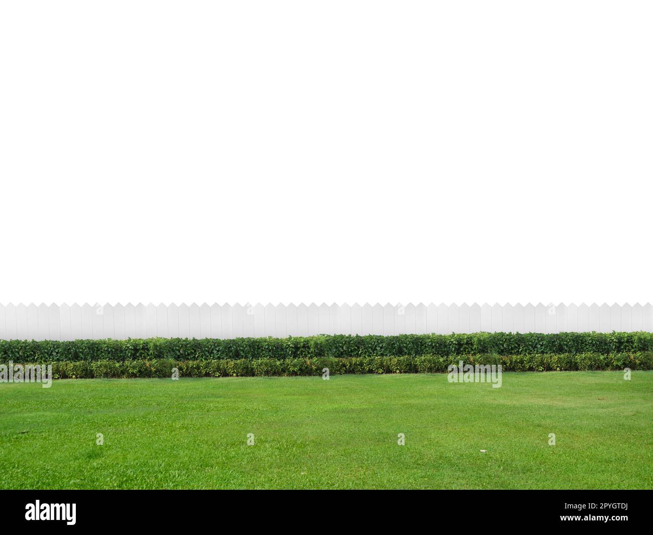 Empty backyard isolated on white background with copy space Stock Photo ...