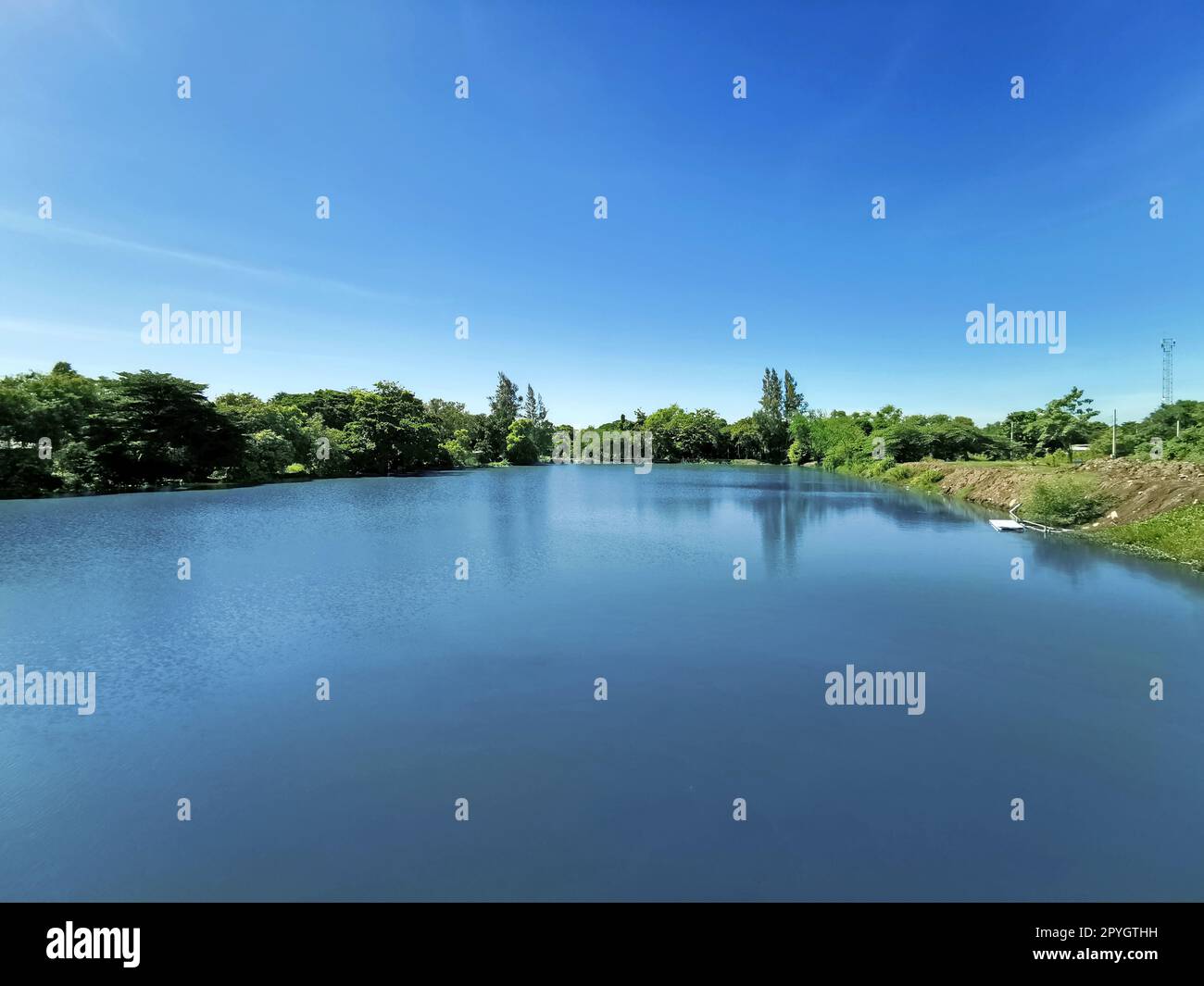 Swamp lake hi-res stock photography and images - Alamy