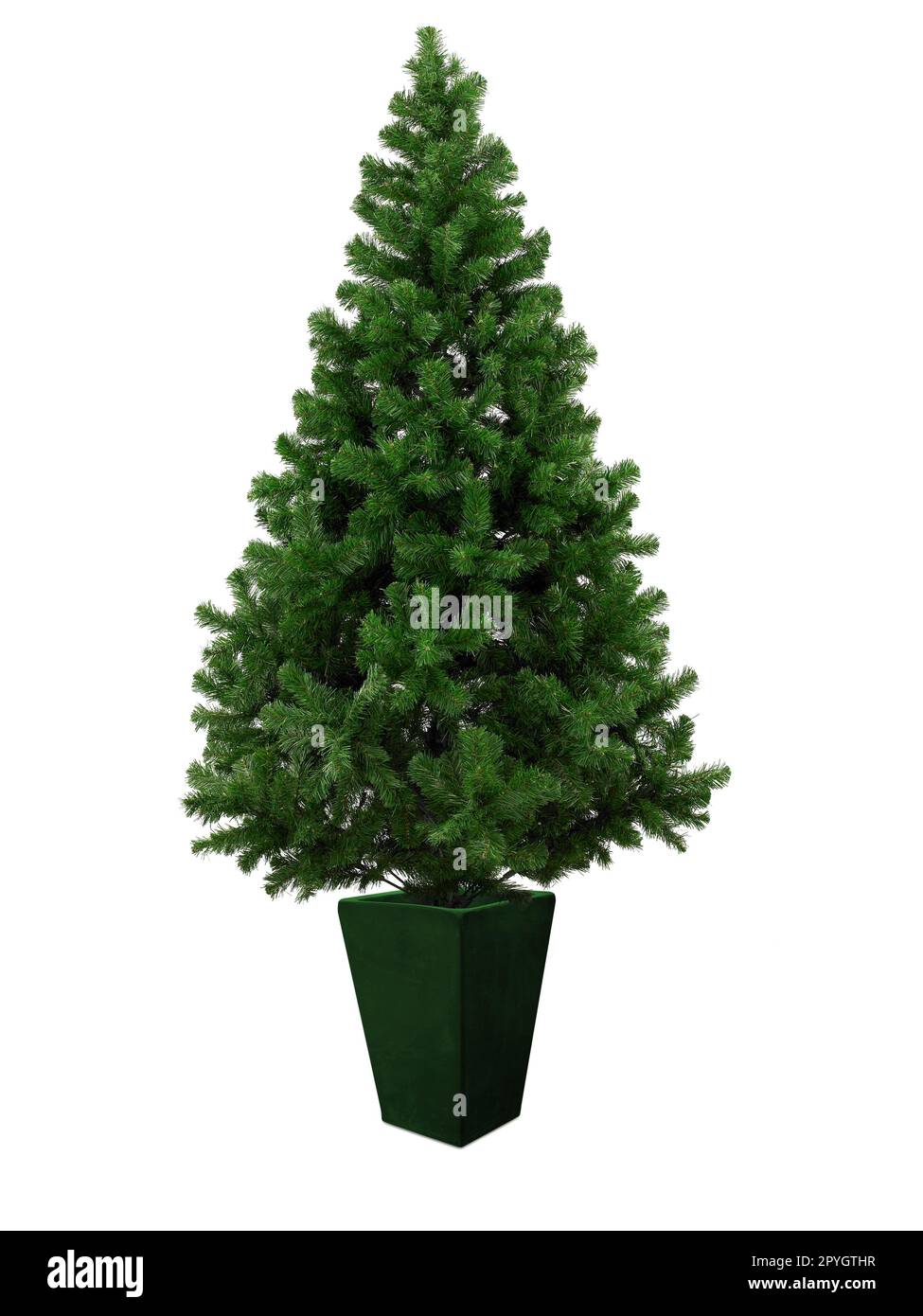 Real christmas tree hi-res stock photography and images - Alamy