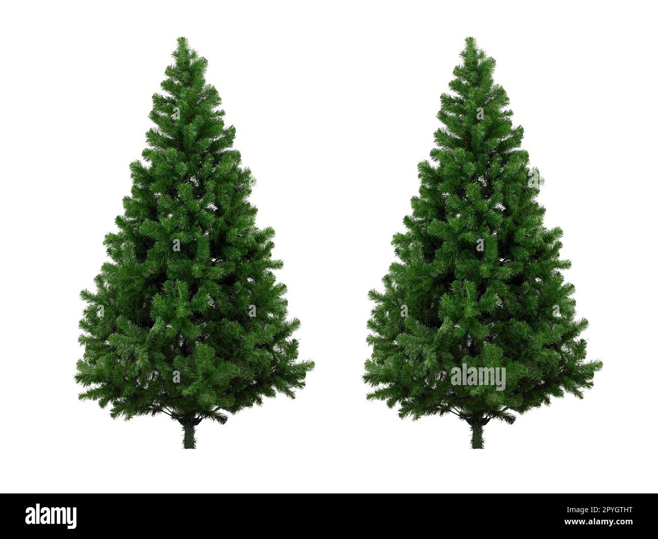 Real christmas tree hi-res stock photography and images - Alamy