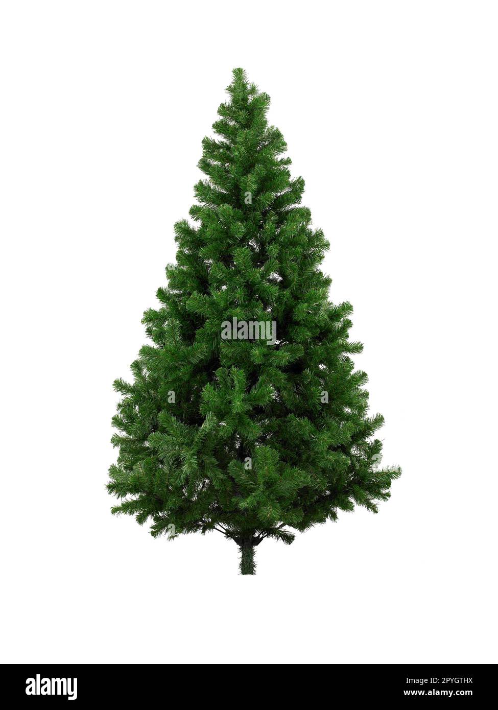 Real Christmas tree, isolated on white background Stock Photo - Alamy
