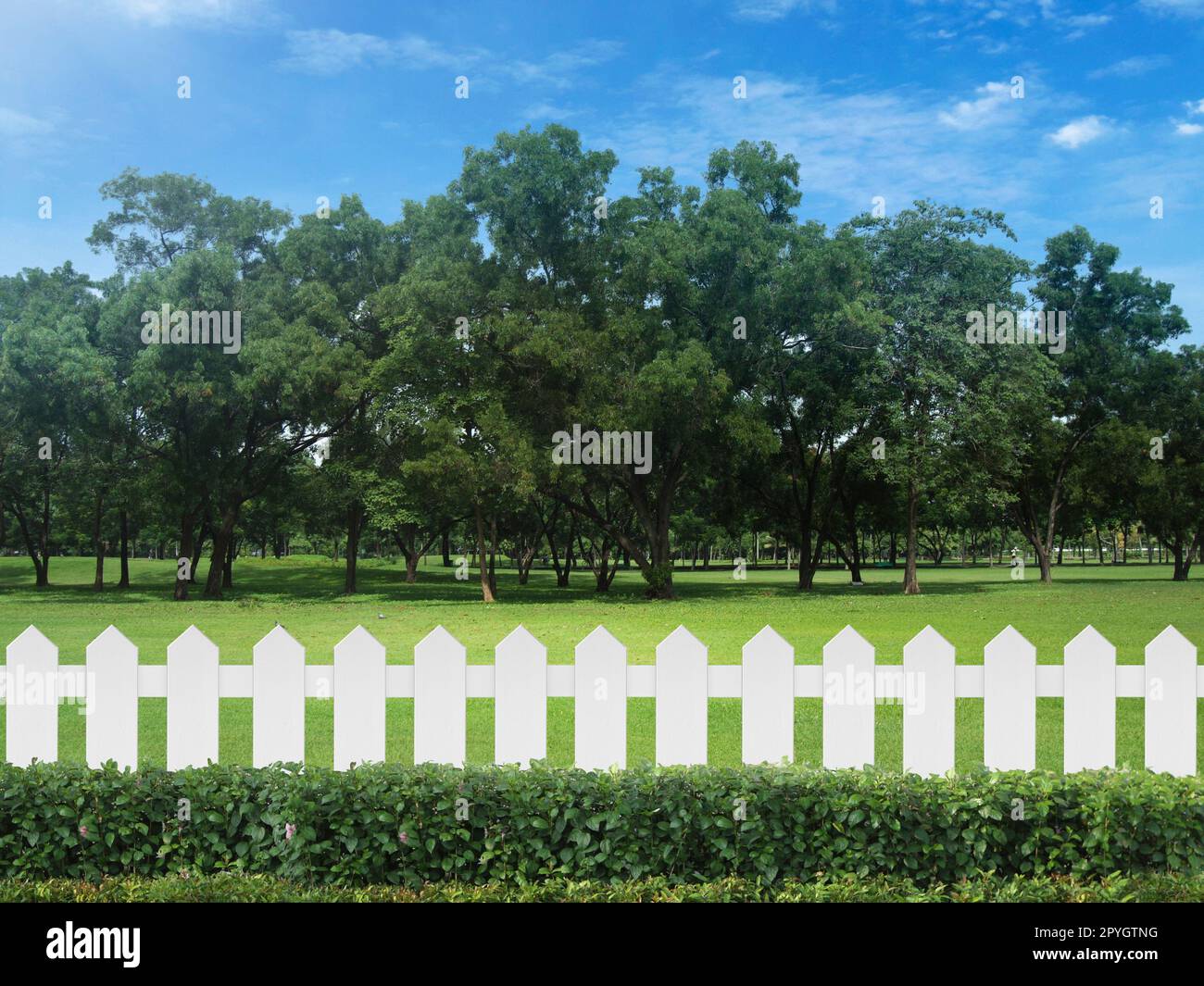 Fences and trees hi-res stock photography and images - Alamy