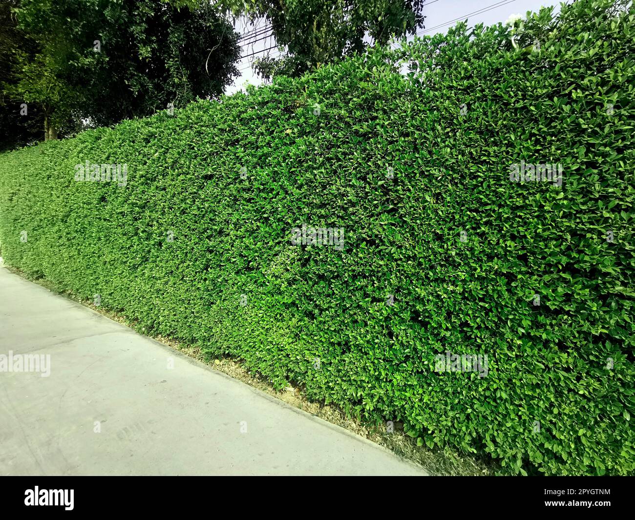 Grass walkway hi-res stock photography and images - Alamy