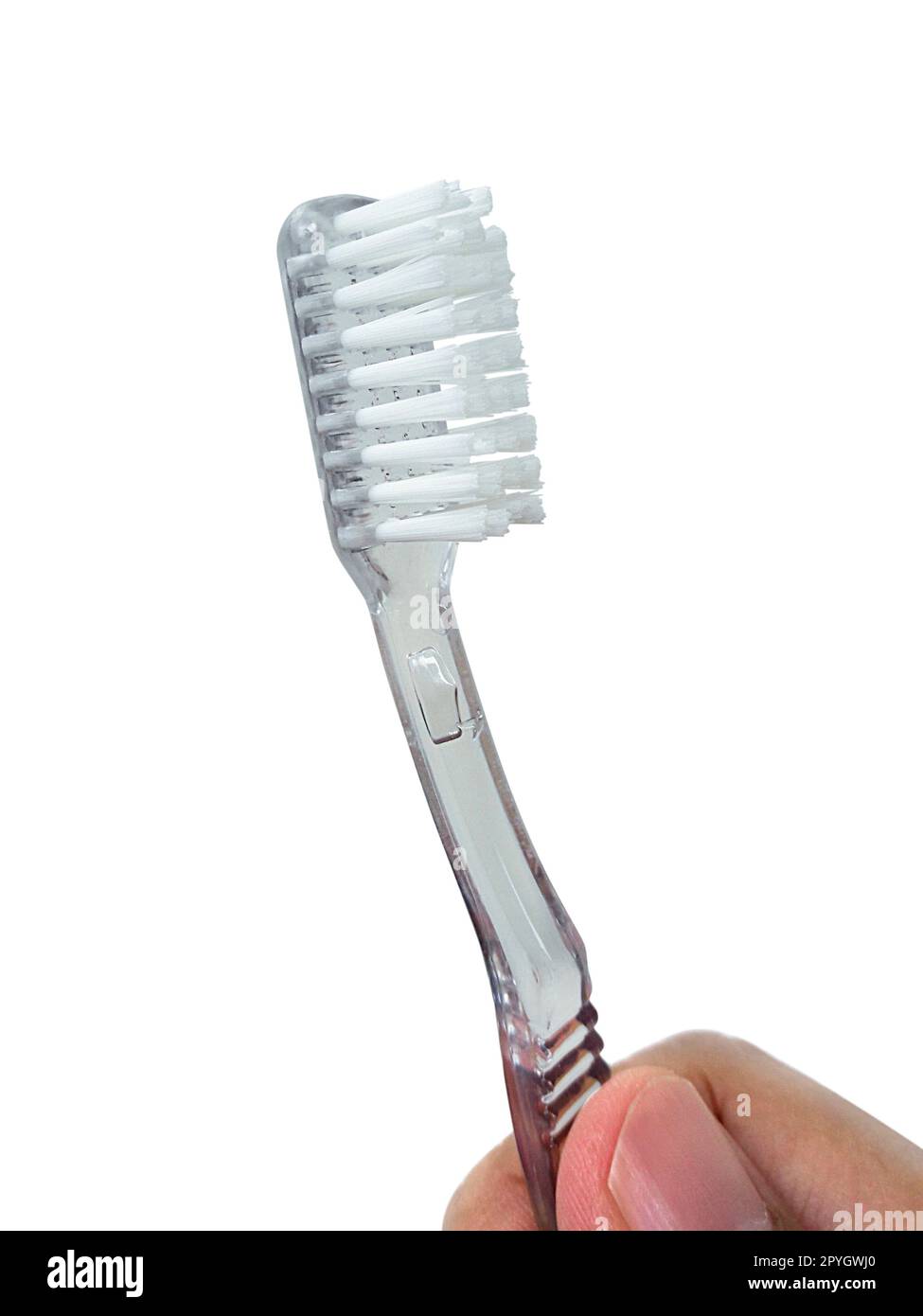 Hand holding a toothbrush. photo on a white background Stock Photo - Alamy