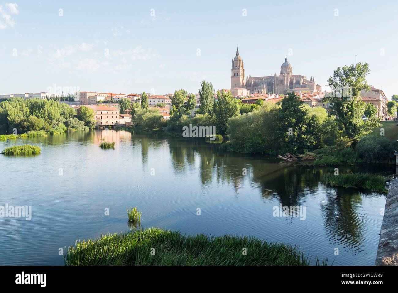 Tormes river and Cathedral of the city of Salamanca in Spain Stock ...