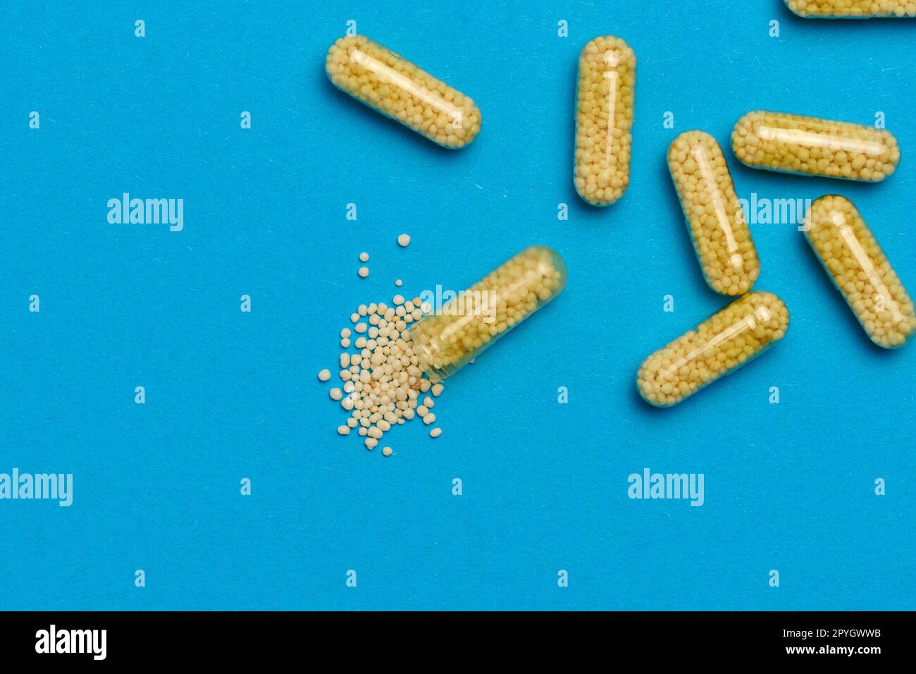 Transparent medical capsules with yellow granules inside on a blue ...