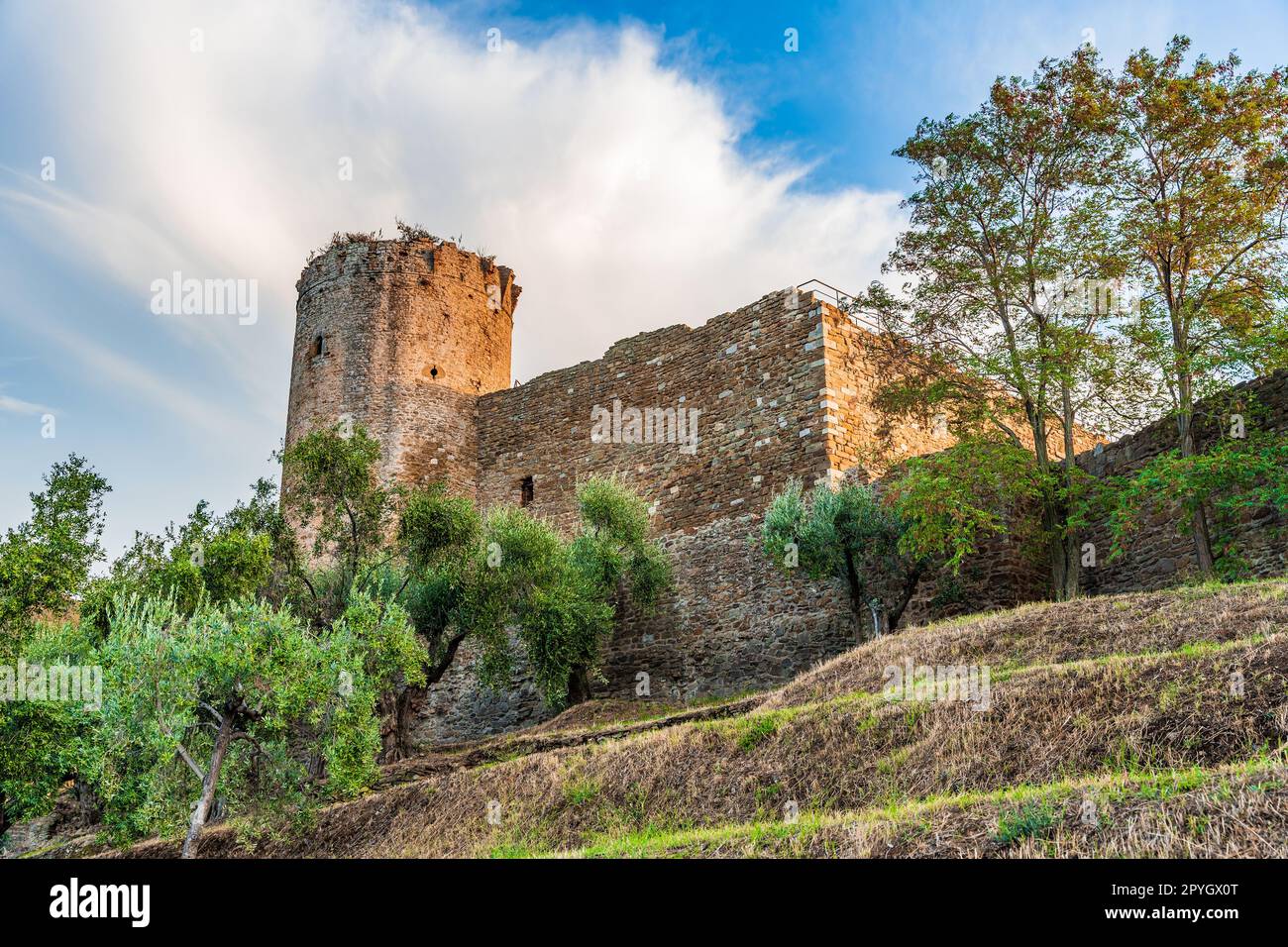 Medieval Aldobrandeschi Castle ("Rocca Aldobrandesca"), round tower and ...