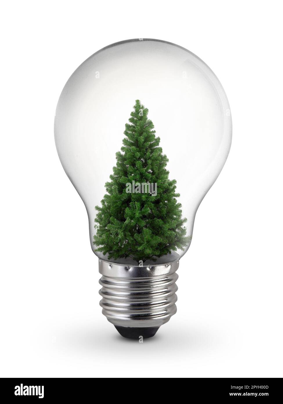decorated Christmas tree inside of light bulb on White Background ...