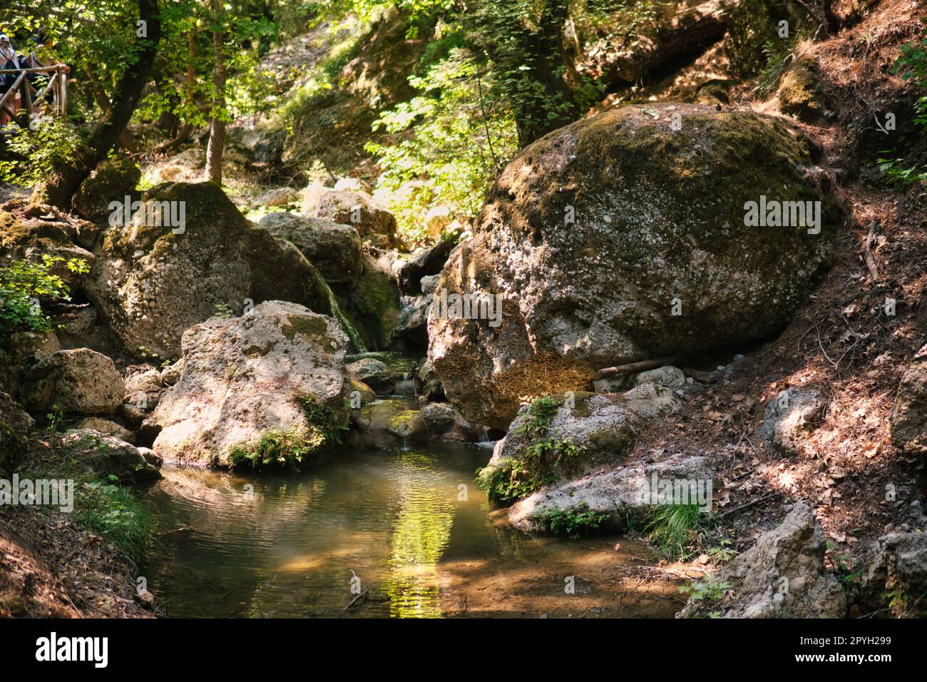 small stream in a valley with trees and large stones on the Rhodes ...